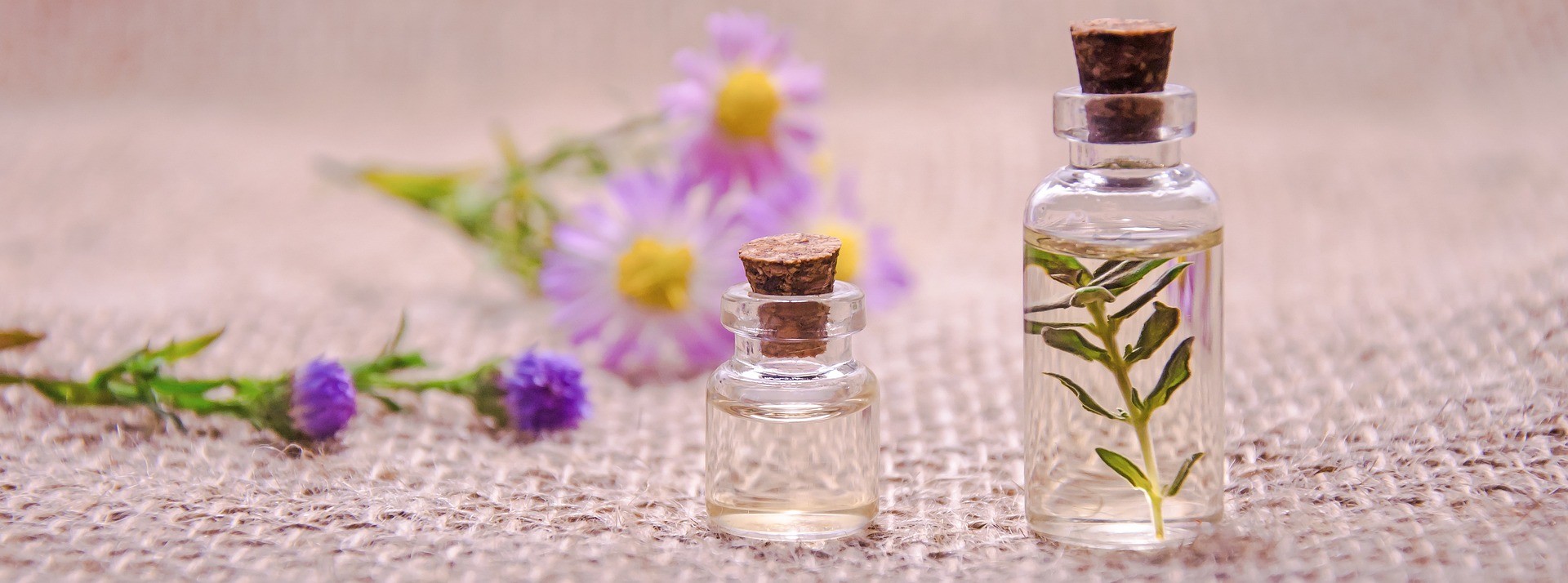 Kamu Harus Tahu! Ini Dia 5 Bahan dasar Parfum – Rakcer.ID