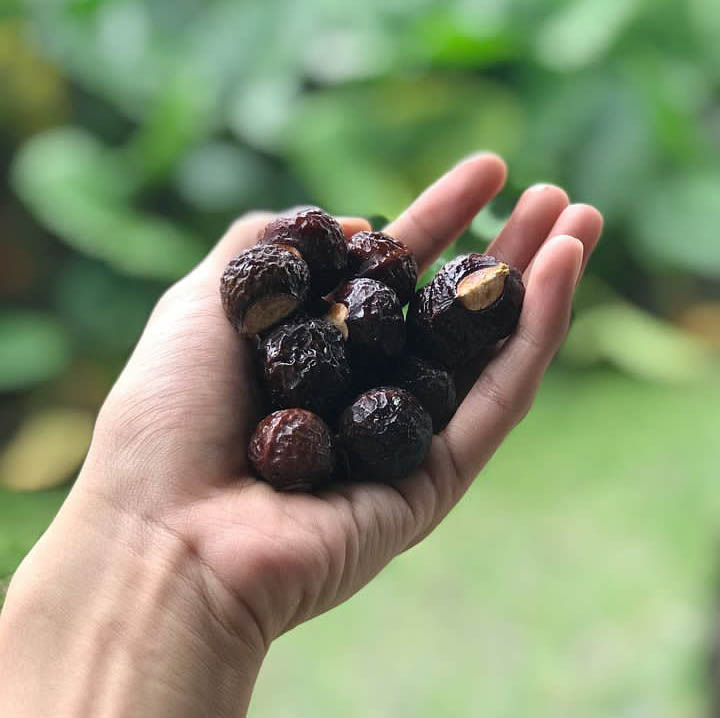 MUDAH !! Cara Membuat Sabun Lerak Yang Wangi Tanpa Perlu Tambahan ...