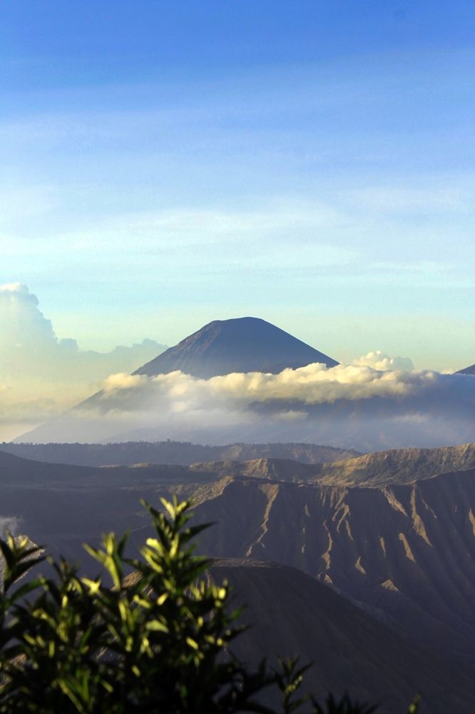 Bertualang di Gunung Pulosari, Pandeglang: Menyatu dengan Alam yang ...