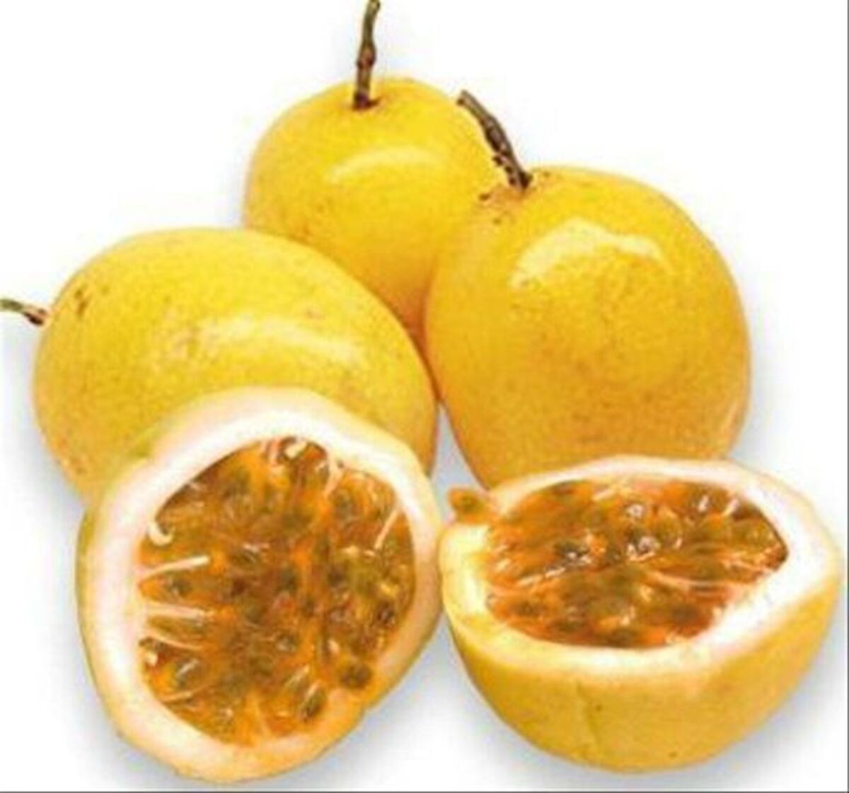 Si Mungil yang Menyegarkan, Inilah 5 Manfaat Buah Markisa Kuning Untuk Tubuh – Rakcer.ID