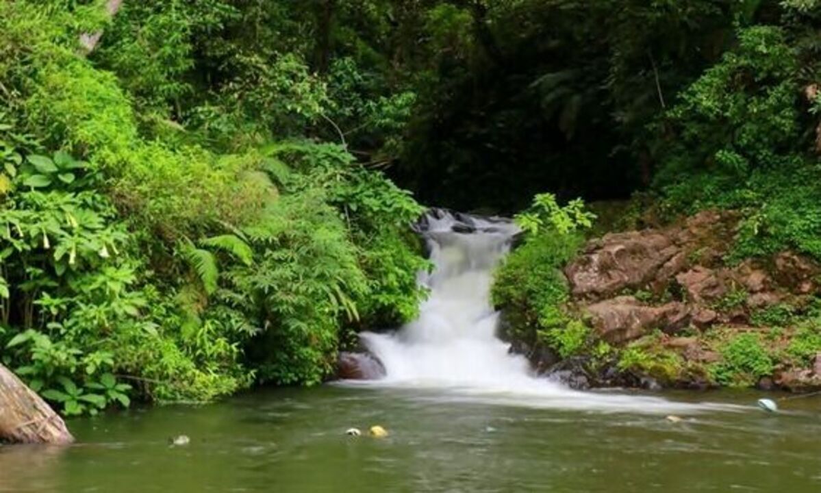 Destinasi Tempat Wisata Curug Layung yang Menakjubkan di Tengah Hutan ...
