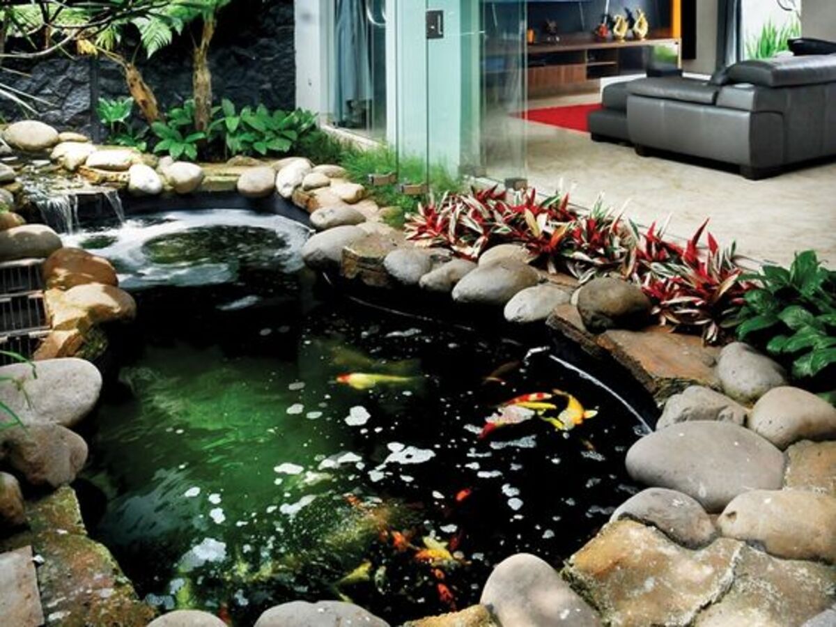 Bikin Rumah Tambah Nyaman! Inilah Inspirasi Desain Kolam Ikan Minimalis di Depan Rumah – Rakcer.ID