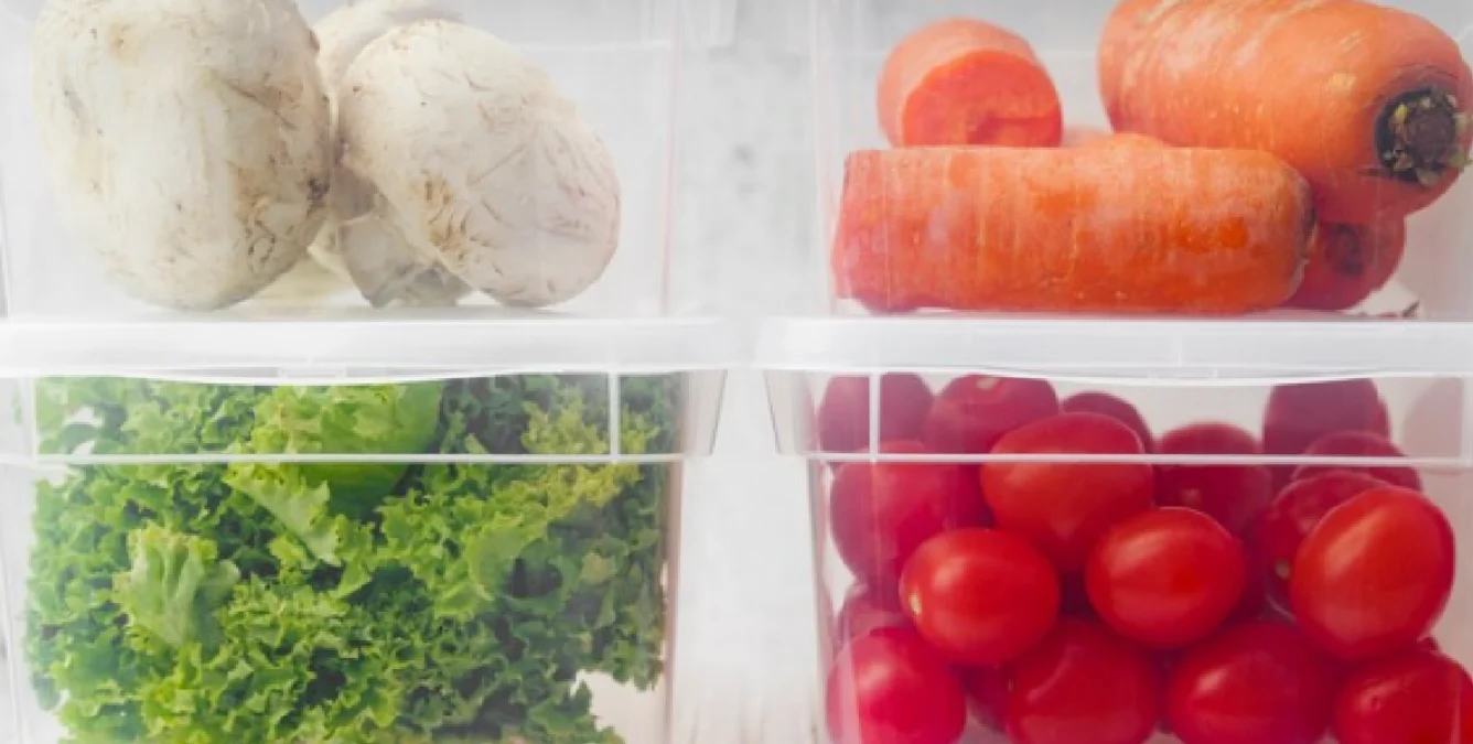 Tips Memilih dan Menyimpan Sayuran Organik yang Berkualitas – Rakcer.ID