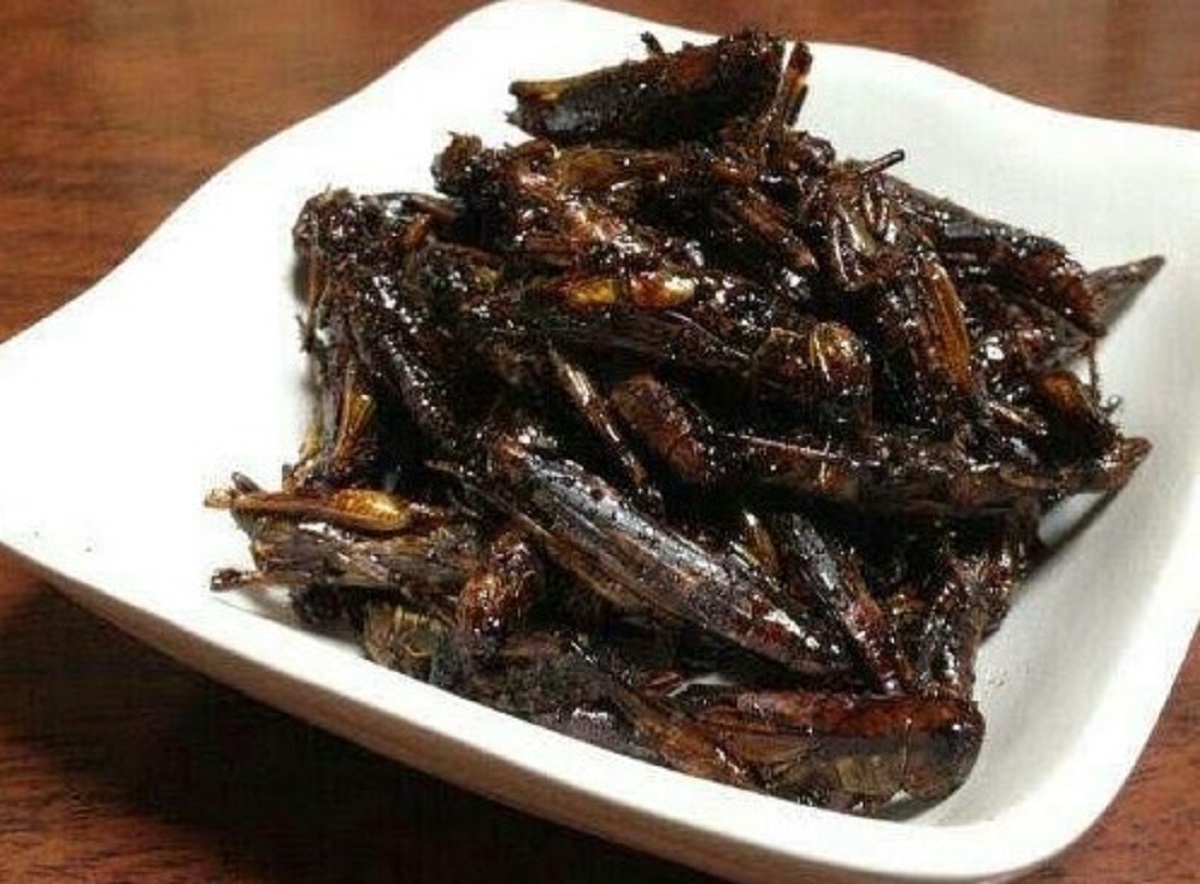 9 Fakta Tentang Inago Notsukudani, Makanan Khas Jepang yang Terbuat ...