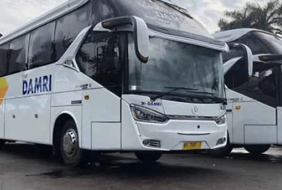 Sejarah Singkat Bus Damri, Bus yang Memiliki Peran Penting Dalam ...