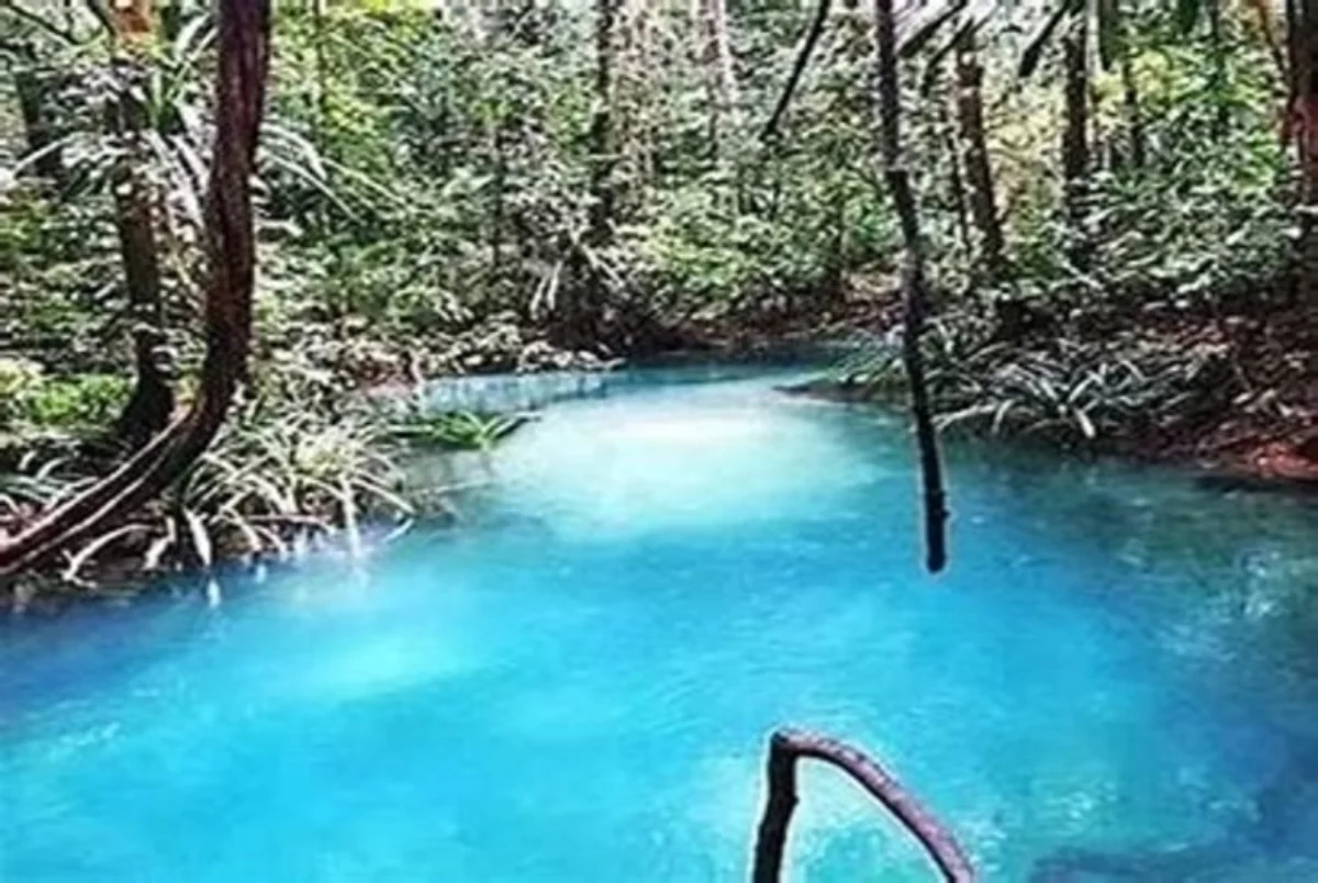 Mengungkap Pesona Alam Kalibiru, Surga Kecil di Papua Barat yang ...