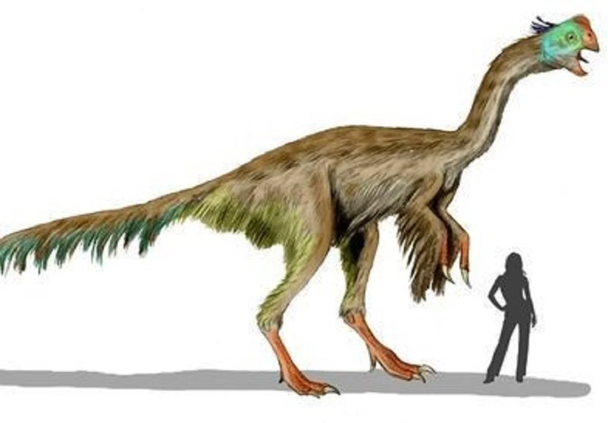 Pernah Menghuni Bumi 6 Burung Predator Raksasa Prasejarah yang Sangat ...