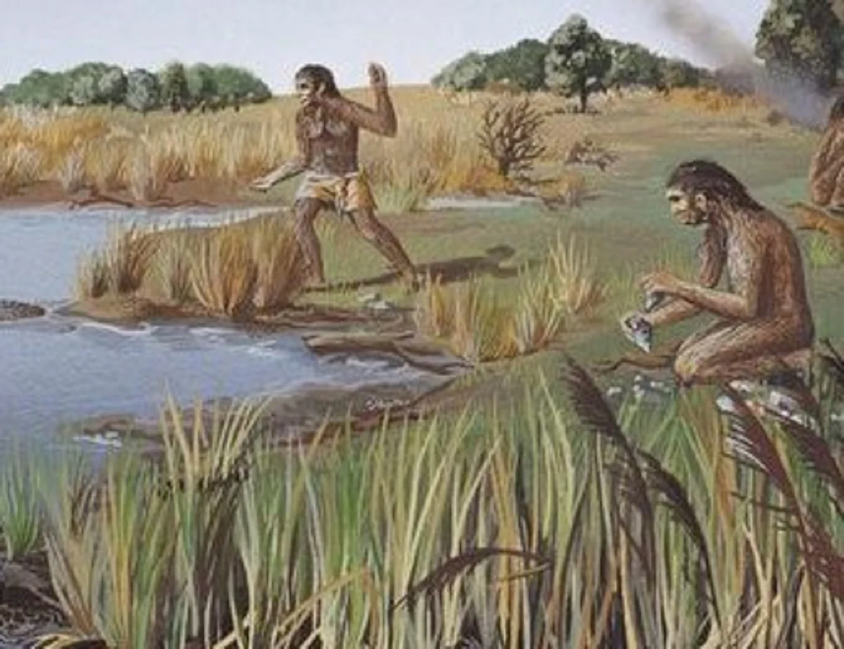 8 Jenis Manusia Purba di Indonesia dan Asia – Rakcer.ID