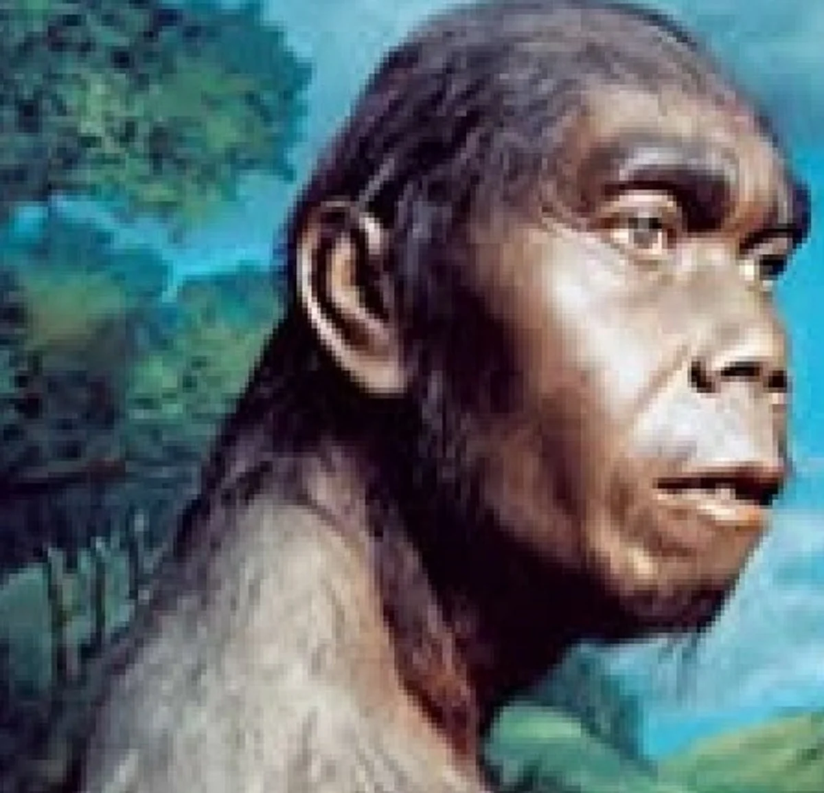 5 Fakta Mengenai Meganthropus Paleojavanicus, Manusia Purba yang ...