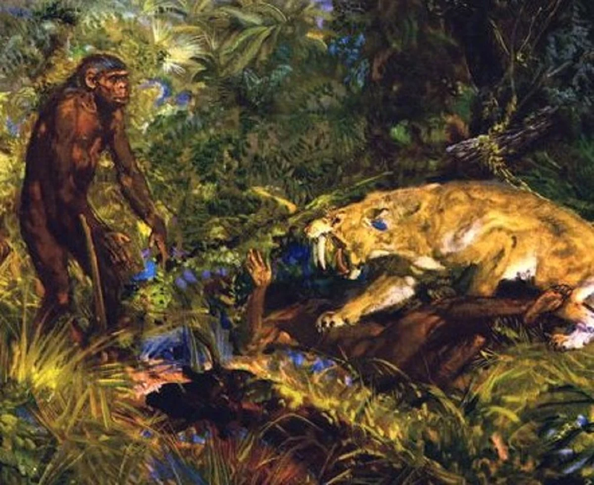 5 Fakta Tentang Pithecanthropus Erectus, Manusia Purba Asal Indonesia – Rakcer.ID
