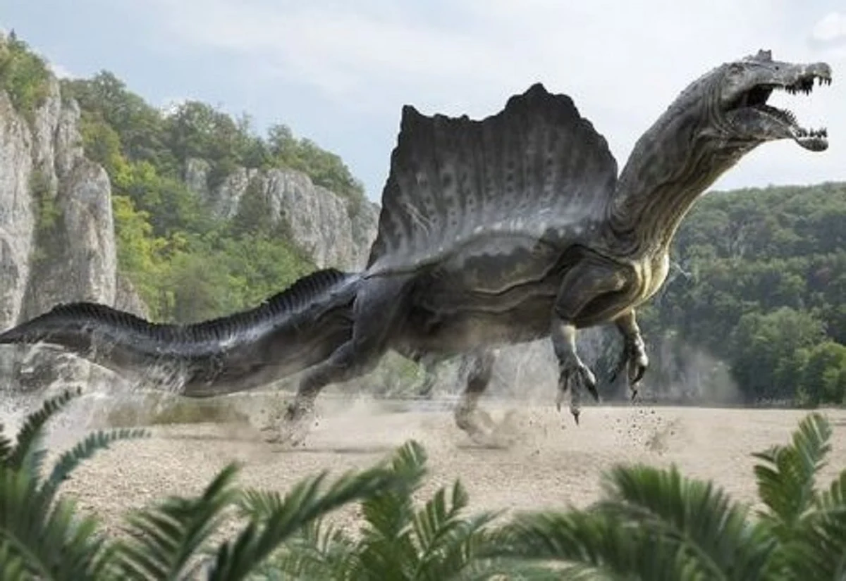 5 Fakta Unik Spinosauridae,Dinosaurus yang Memiliki Tubuh Mencapai 18 ...
