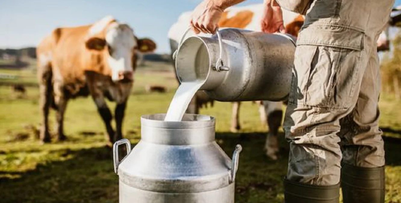 Mengenal Susu UHT dengan Susu Biasa, Apa Bedanya? – Laman 2 – Rakcer.ID Mengenal Susu UHT dengan Susu Biasa, Apa Bedanya? – Laman 2 – Rakcer.ID
