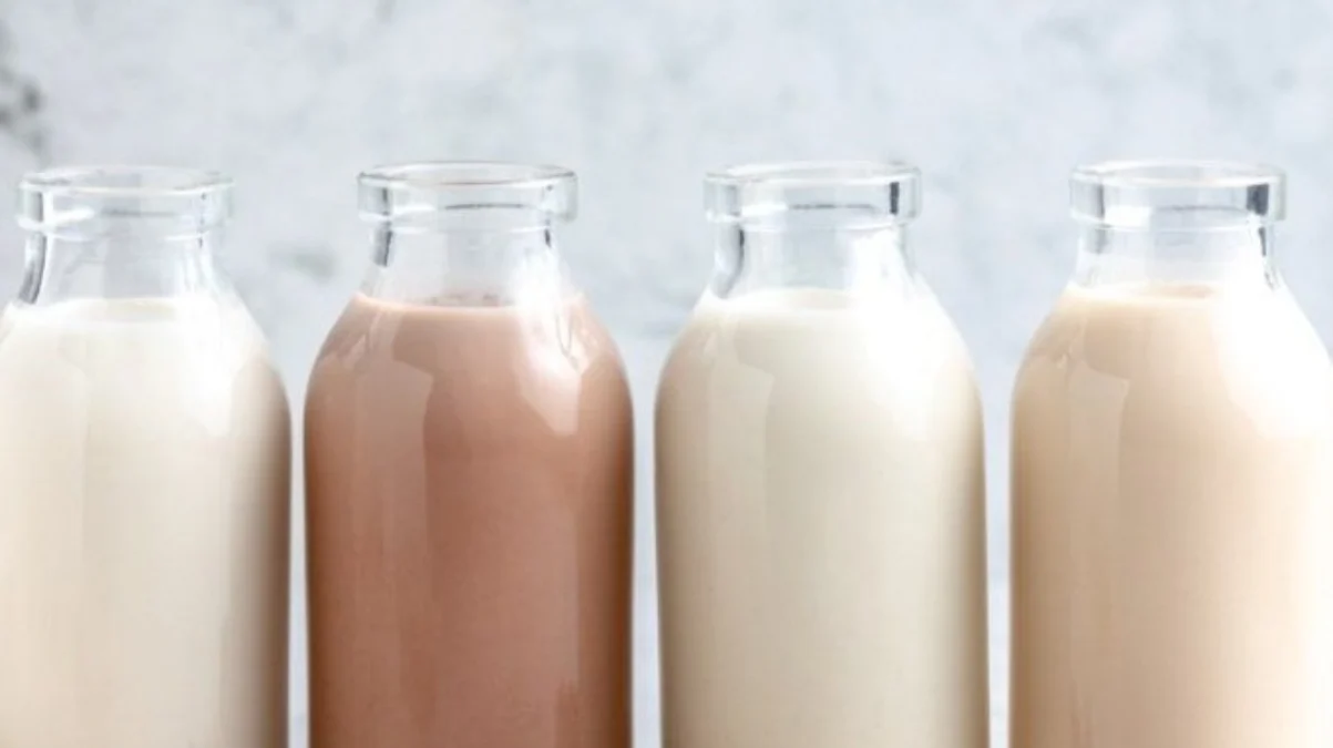 Manfaat 8 Susu Terbaik untuk Diet, Enggak Perlu Takut Berat Badan Naik ...