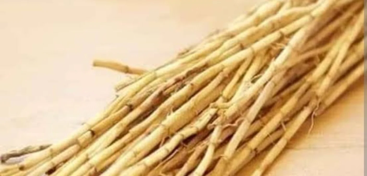 7 Manfaat dari Akar Alang-Alang, Bisa Menurunkan Tekanan Darah – Rakcer.ID