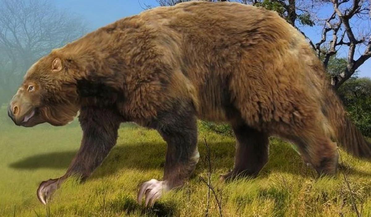Ukuran Tubuh yang Raksasa, 5 Fakta Menengenai Tentang Megatherium, Nenek Moyang Kukang Modern ...