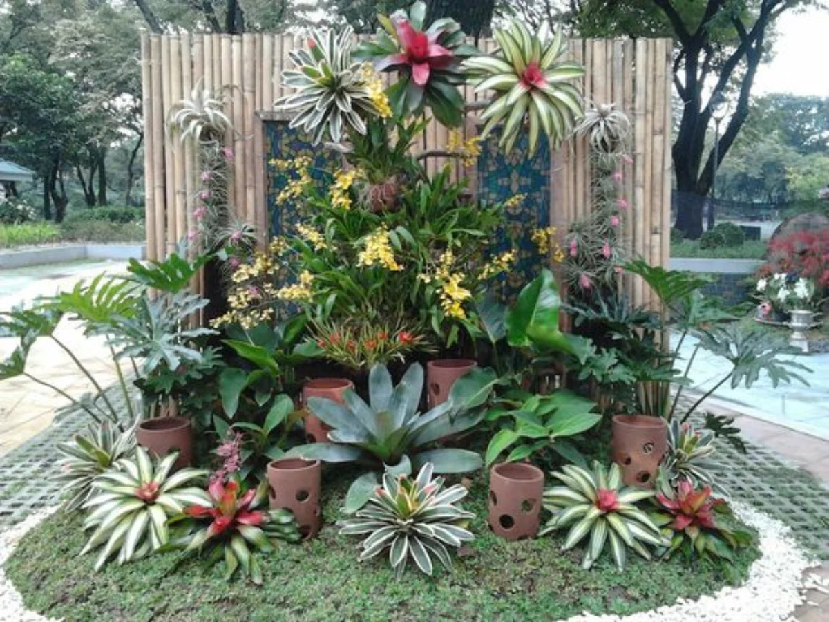 Inspirasi 7 Gaya Taman Bromelia yang Memadukan Keindahan dan ...