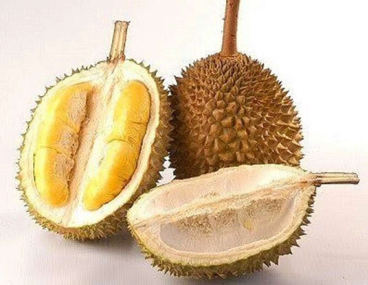 5 Durian Dengan Harga Termahal dan Memiliki Harga yang Sangat Fantastis ...