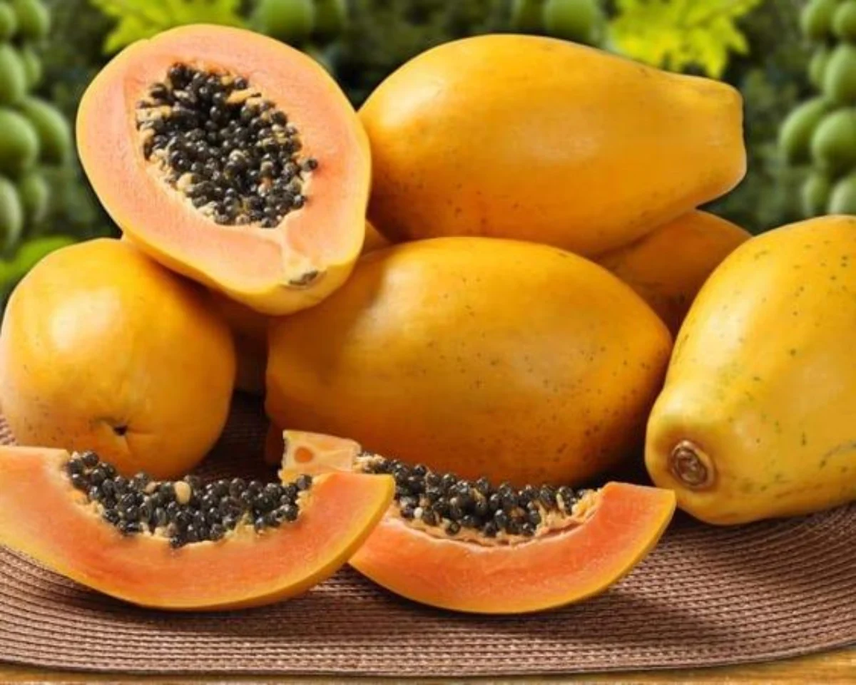 7 Cara Memilih Buah Pepaya yang Matang, Dijamin Manis dan Enak! – Rakcer.ID