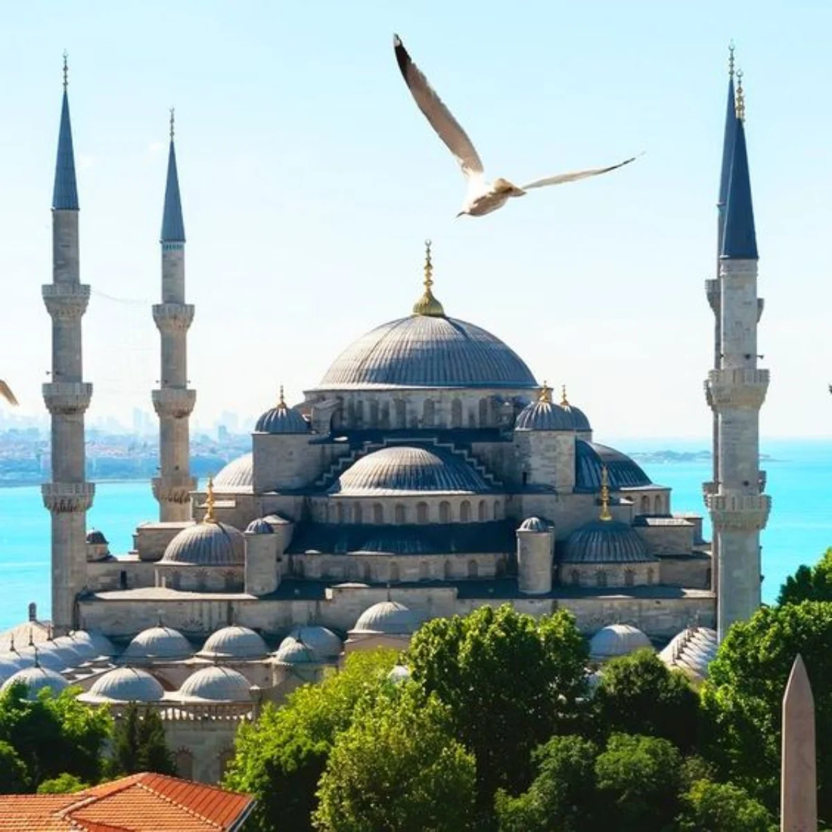 7 Situs Sejarah di Istanbul yang Harus Anda Kunjungi saat Liburan Nanti ...
