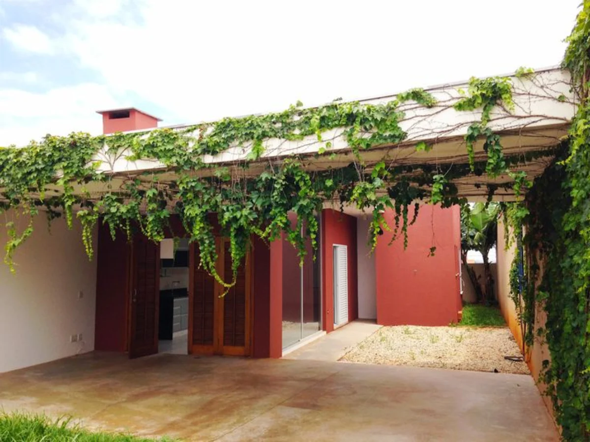 7 Tanaman Rambat Terbaik untuk Kanopi yang Menjadikan Ruangan Lebih ...