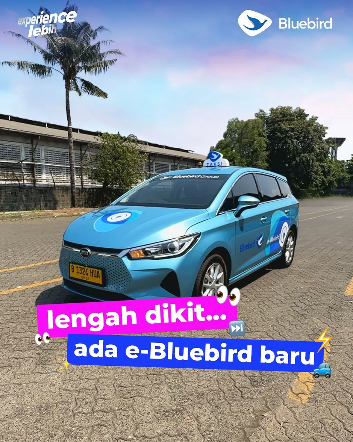 Siapa Sebenarnya Pemilik Blue Bird Pertama? Temukan Jawabannya! – Rakcer.ID