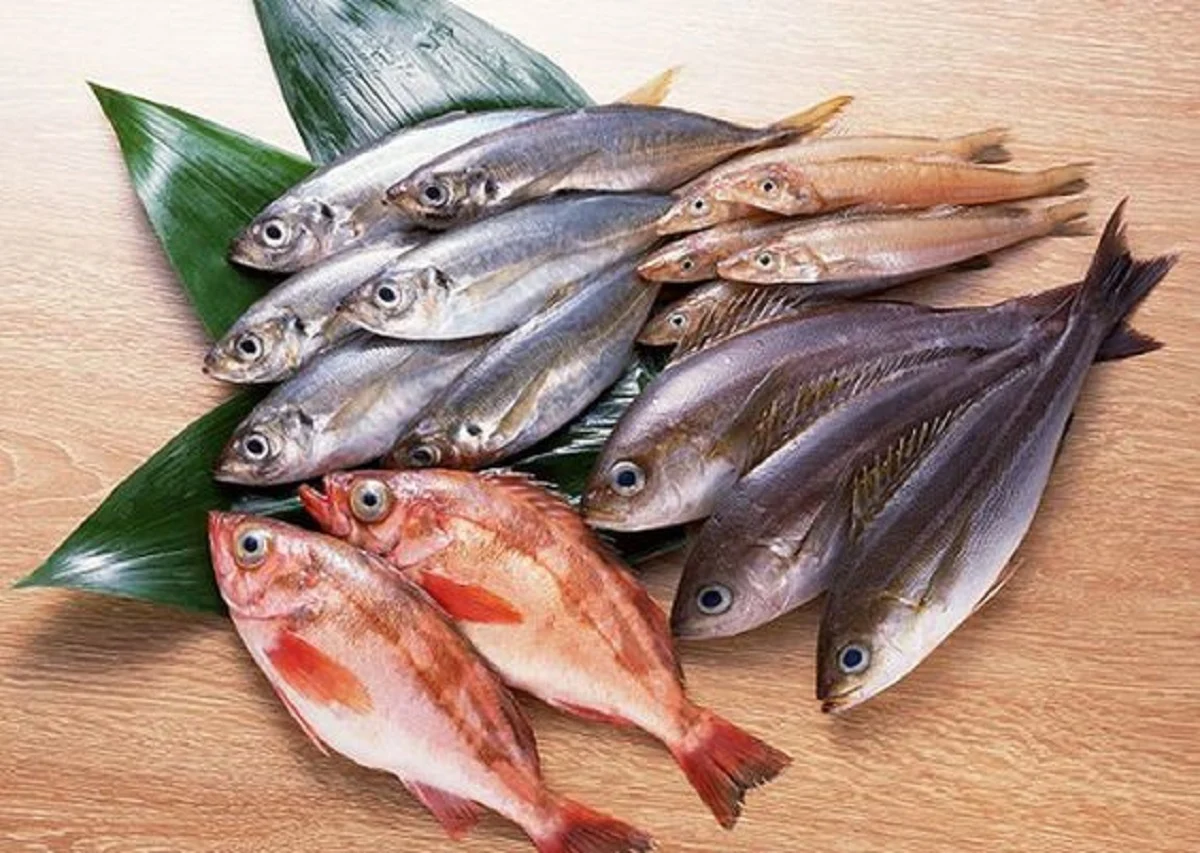 Bisa Untuk Menu Harian, 3 Resep Olahan Ikan Laut yang Sangat Enak ...
