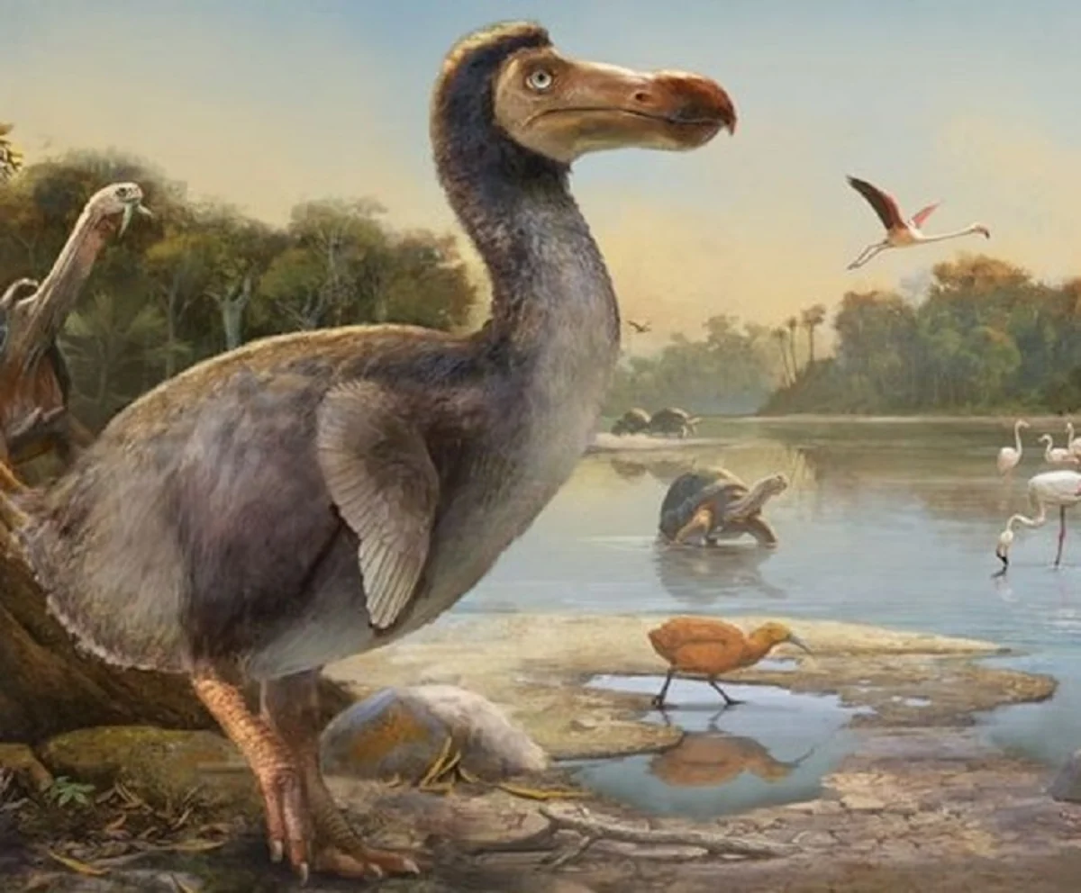 5 Burung Besar yang Tidak Bisa Terbang Namun Sudah Punah, Ada Burung ...