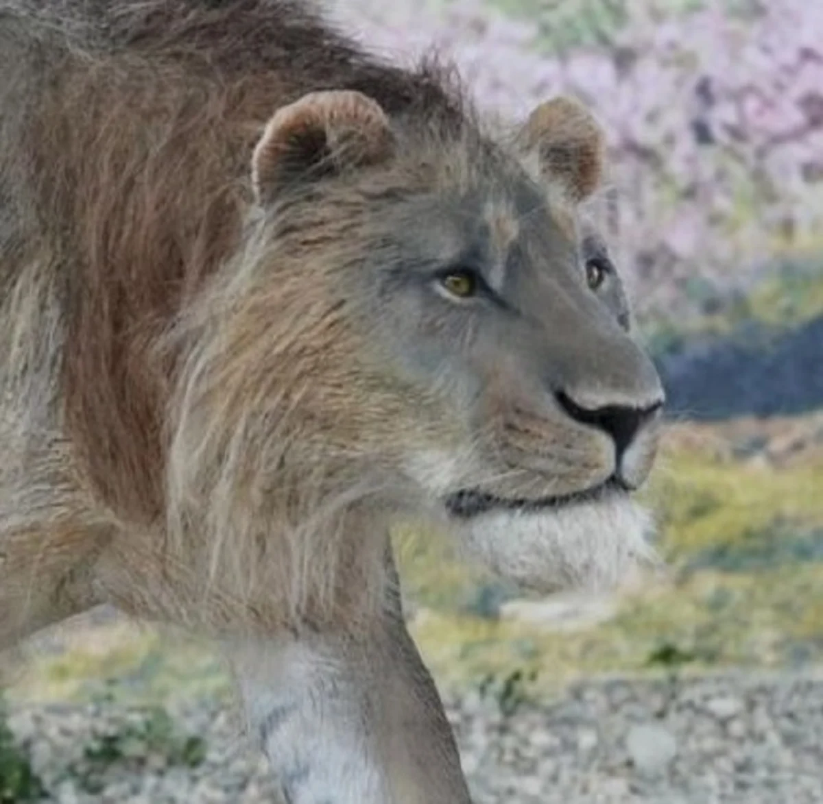 Mulai Dari Singa Gua Sampai Kukang Raksasa, 5 Hewan Zaman Es Selain ...