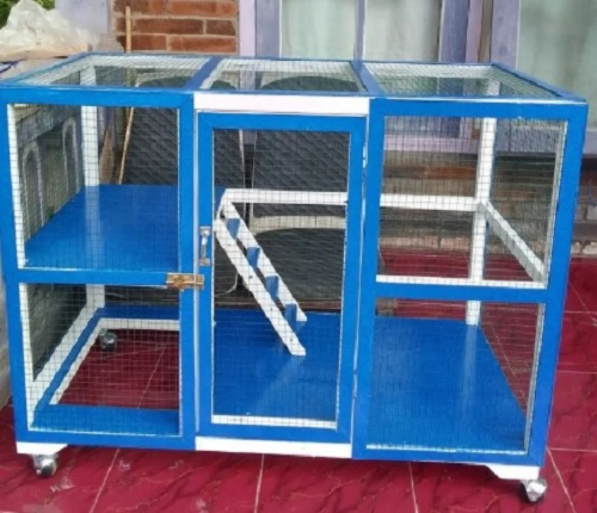 Perhatikan Langkah Berikut Ini, 6 Cara Membuat Rumah Kucing yang ...