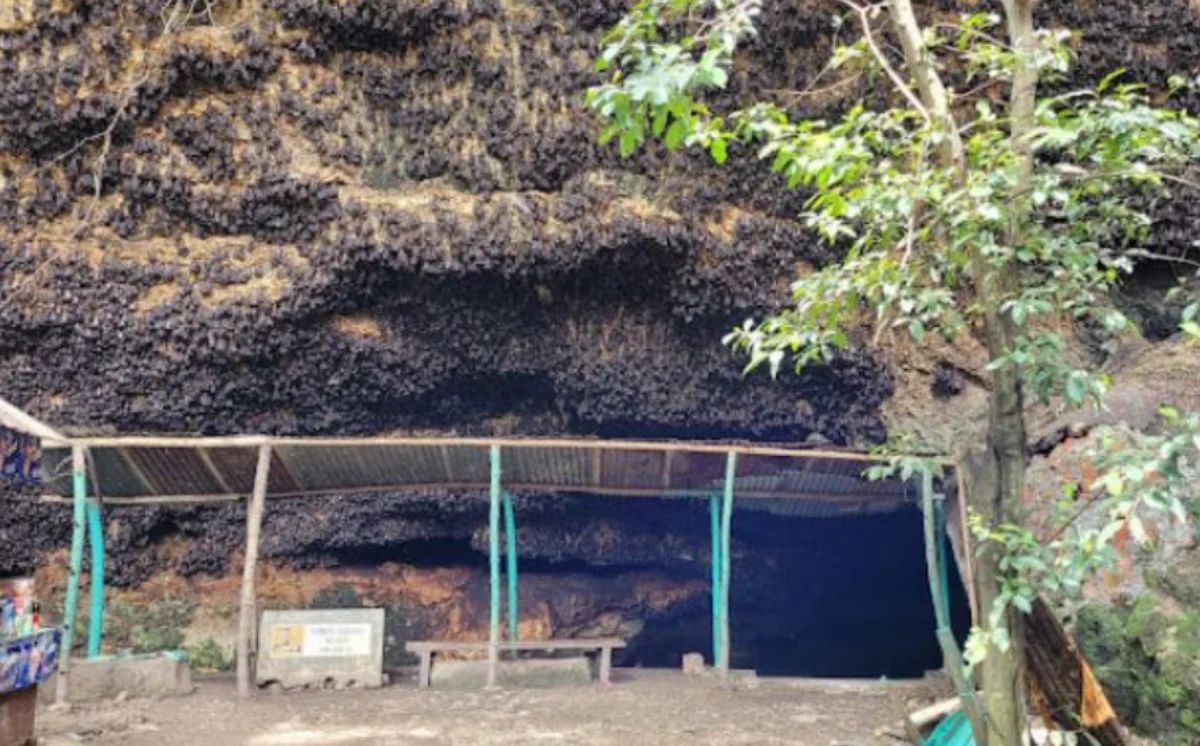 Misteri dan Keindahan Gua Ngerong, Destinasi Wisata Alam di Tuban Ramah ...