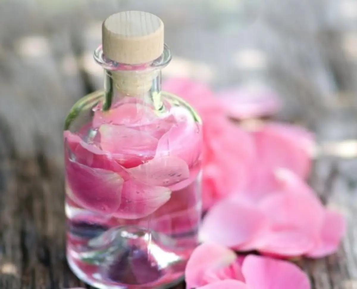 Yuk Simak 5 Manfaat Bunga Mawar bagi Kulit – Rakcer.ID