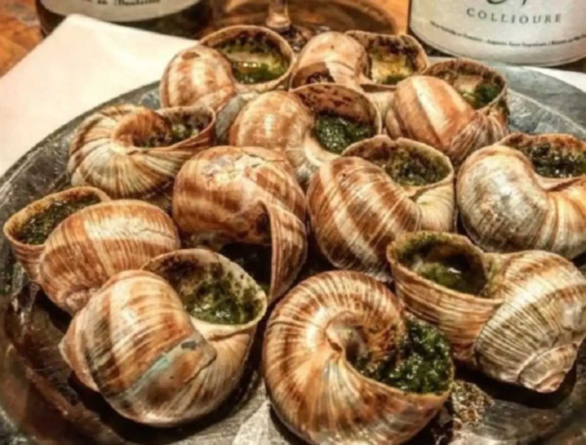 5 Fakta Tentang Makanan Escargot, Makanan Mewah Khas Prancis yang ...