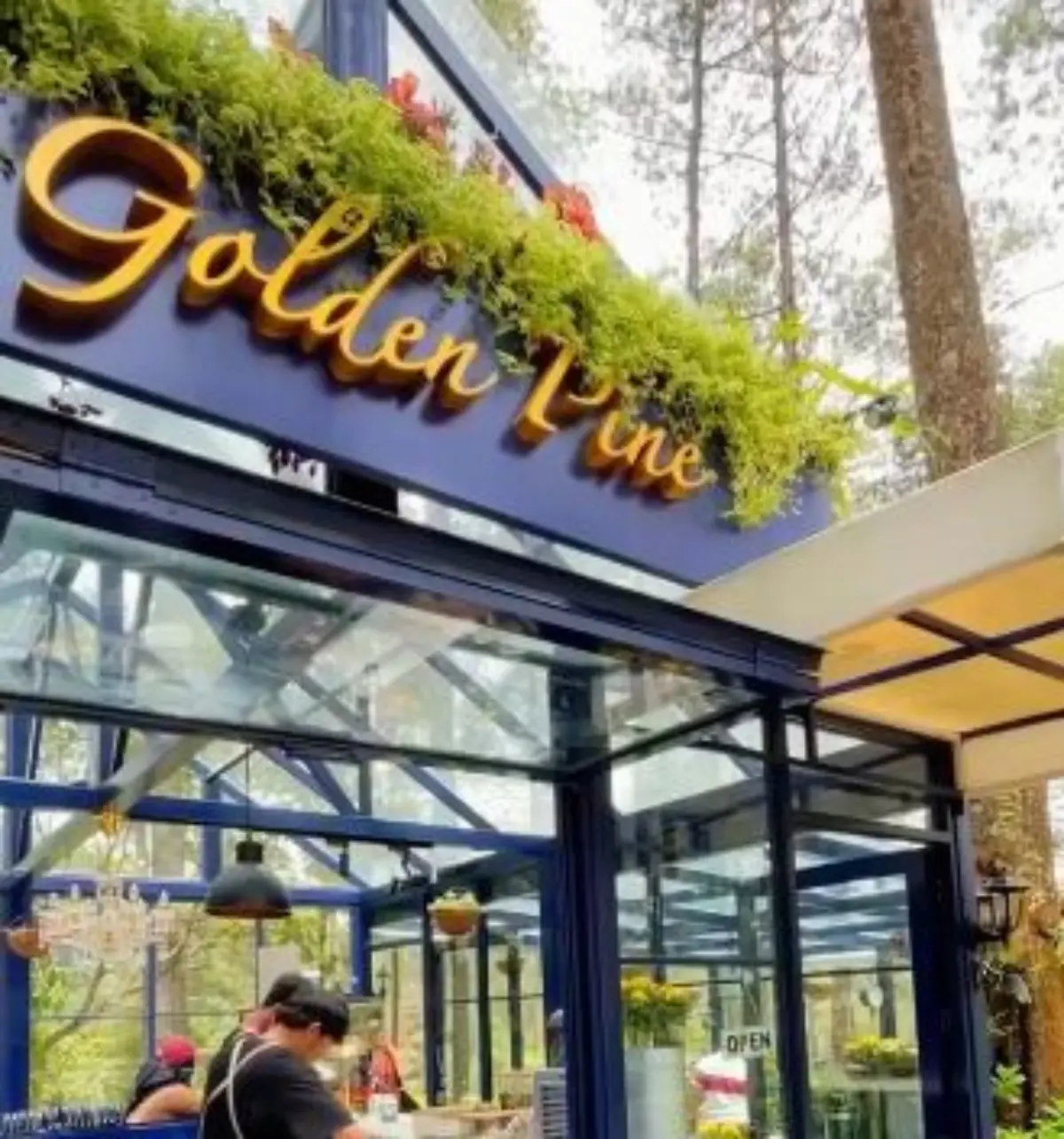 Rekomendasi Tempat Nongkrong dengan Nuansa Alam di Bandung – Rakcer.ID