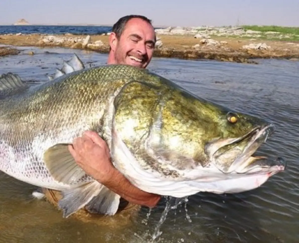 Memiliki Ukuran yang Besar dan Hidup Di Sungai Nil Fakta Tentang Ikan ...