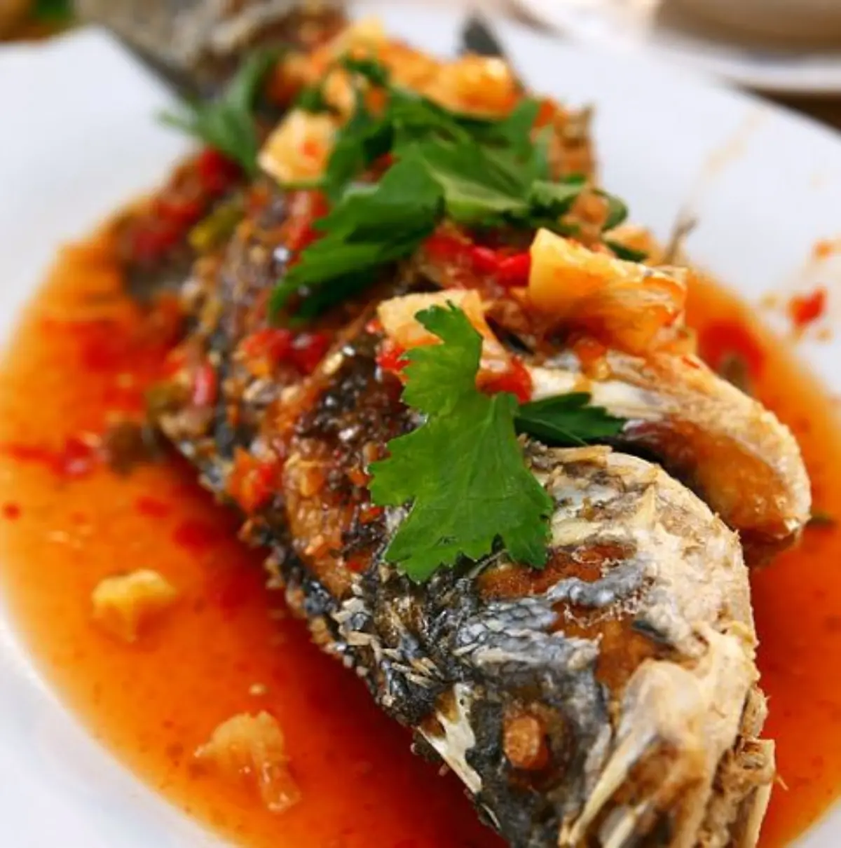 Resep Ikan Mujair Saus Padang yang Pedas dan Lezat untuk Keluarga ...