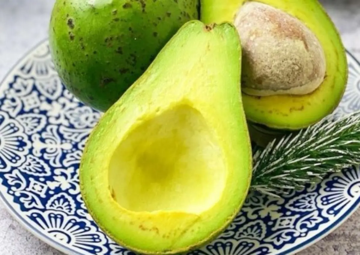 7 Jenis Buah Alpukat yang Mungkin Tidak Asing Bagi Anda – Rakcer.ID